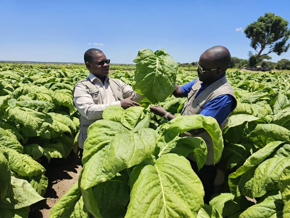 HOME PAGE NEW - Ministry of Lands, Agriculture, Fisheries, Water And ...