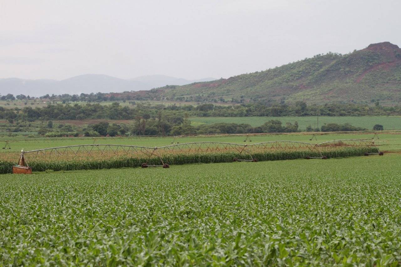 HOME PAGE NEW - Ministry of Lands, Agriculture, Fisheries, Water And ...