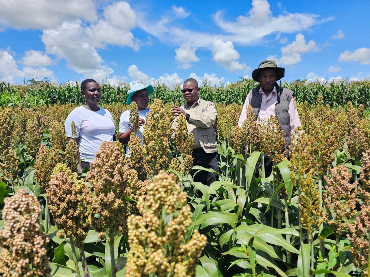 HOME PAGE NEW - Ministry of Lands, Agriculture, Fisheries, Water And ...